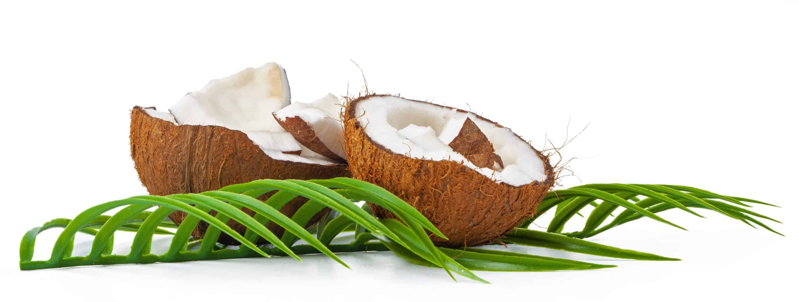 Kokosöl - Gesund und vielseitig einsetzbar - NEURONBEST